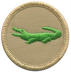 Patrol Patches