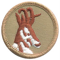 Patrol Patches