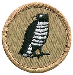 Patrol Patches